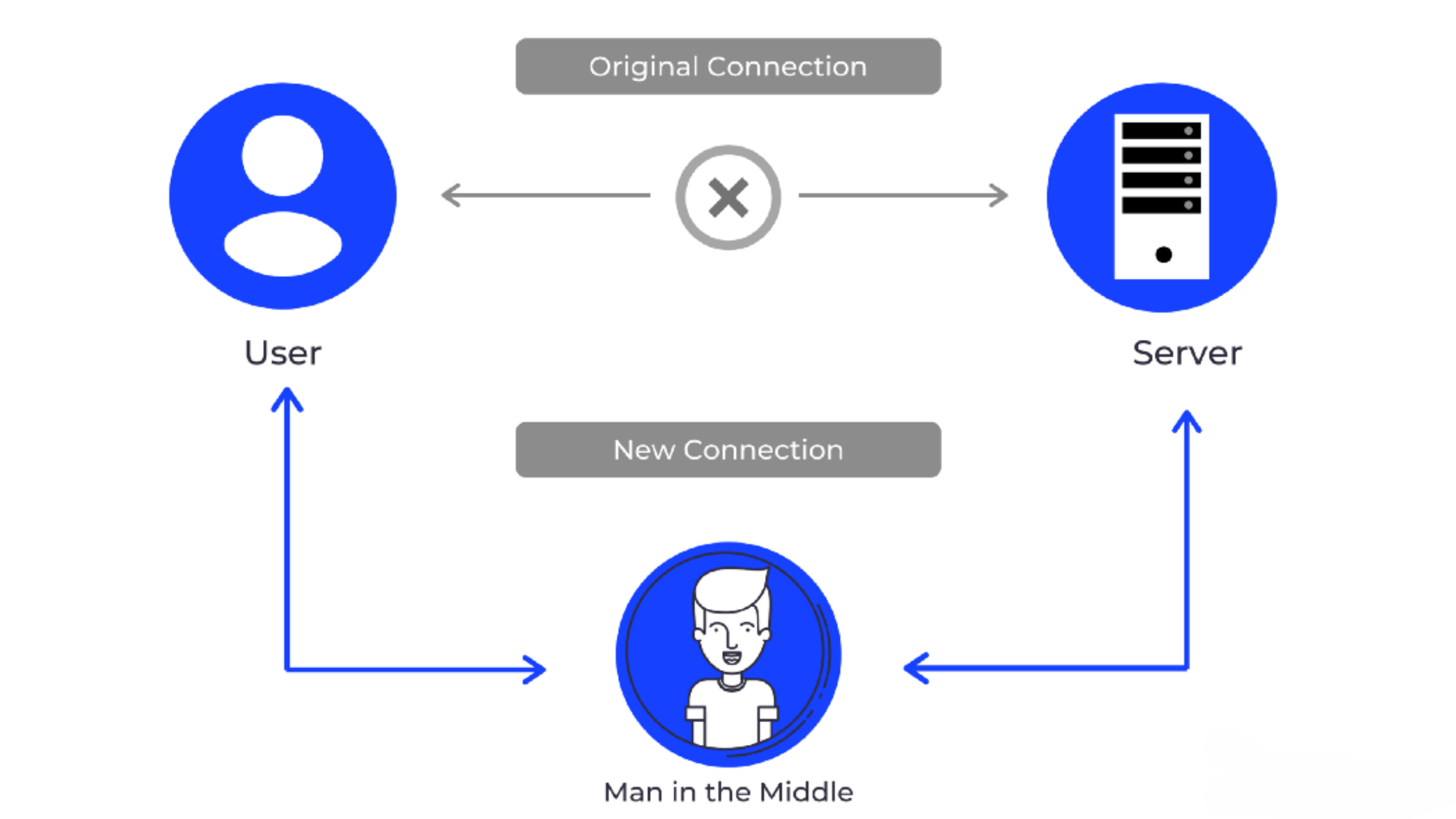 Shield Your App: NPM Security Must-Knows | SoluteLabs Blog