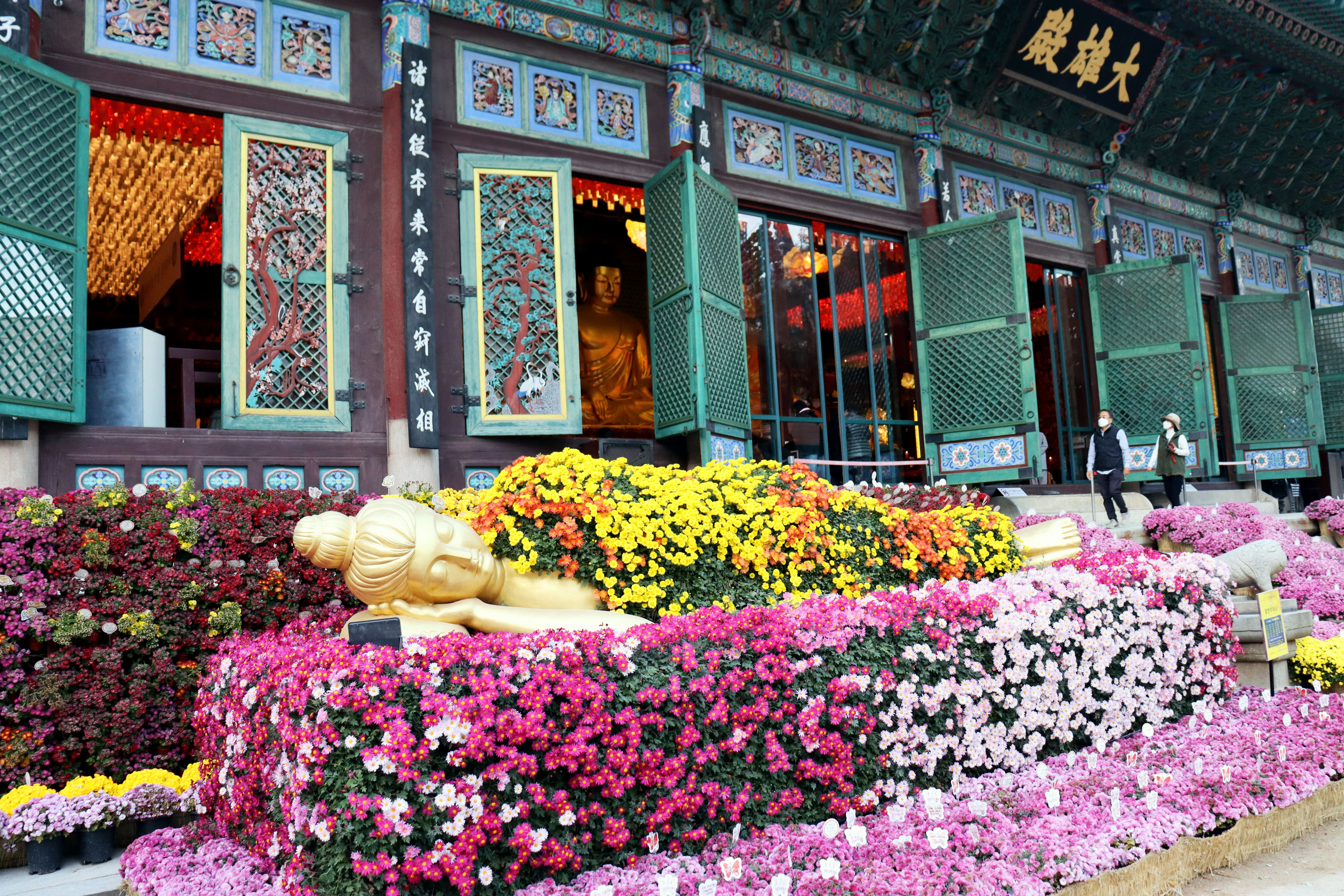 Dat Nguyen — Photo Album