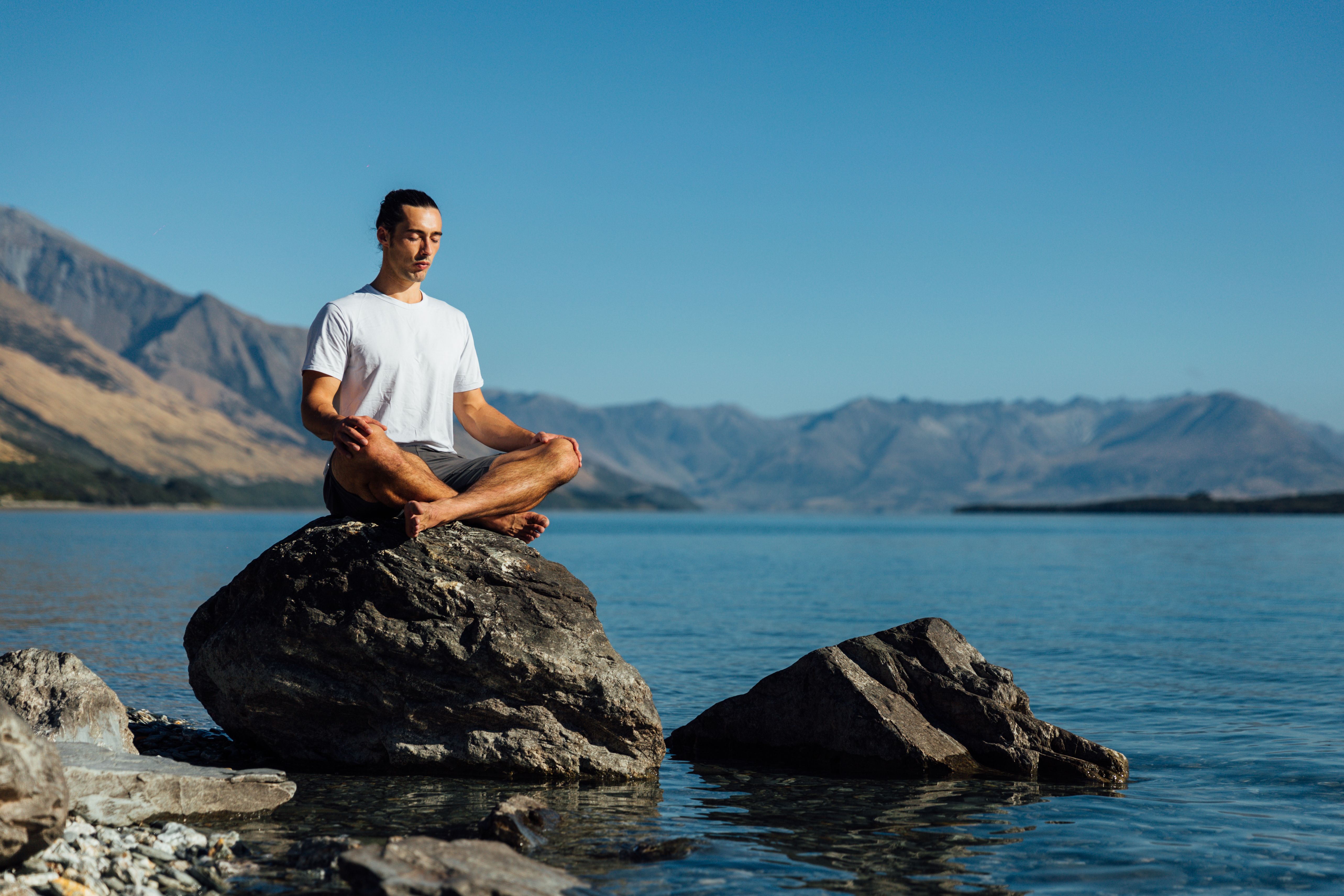 Resources | Optimal Health Model