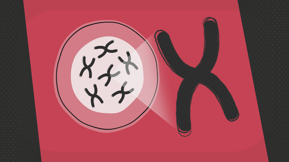Know AML | Acute myeloid leukemia: Chromosomal changes
