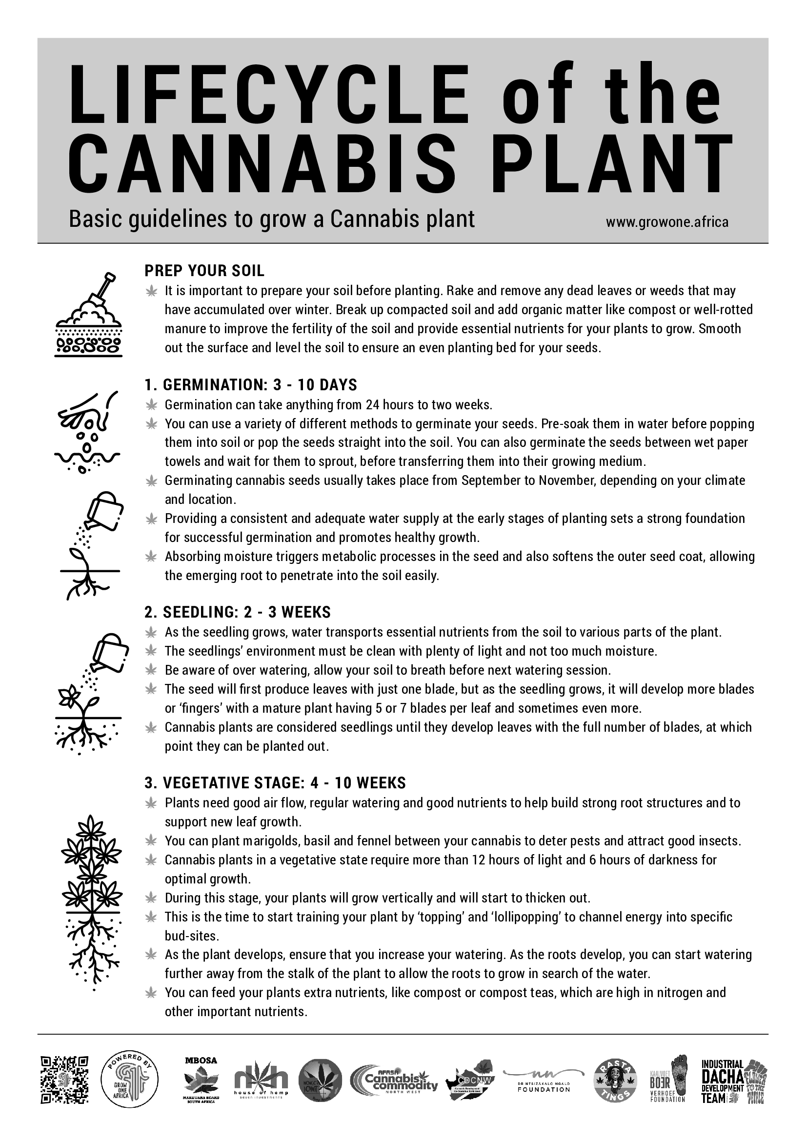 Lifecycle of the Cannabis Plant
