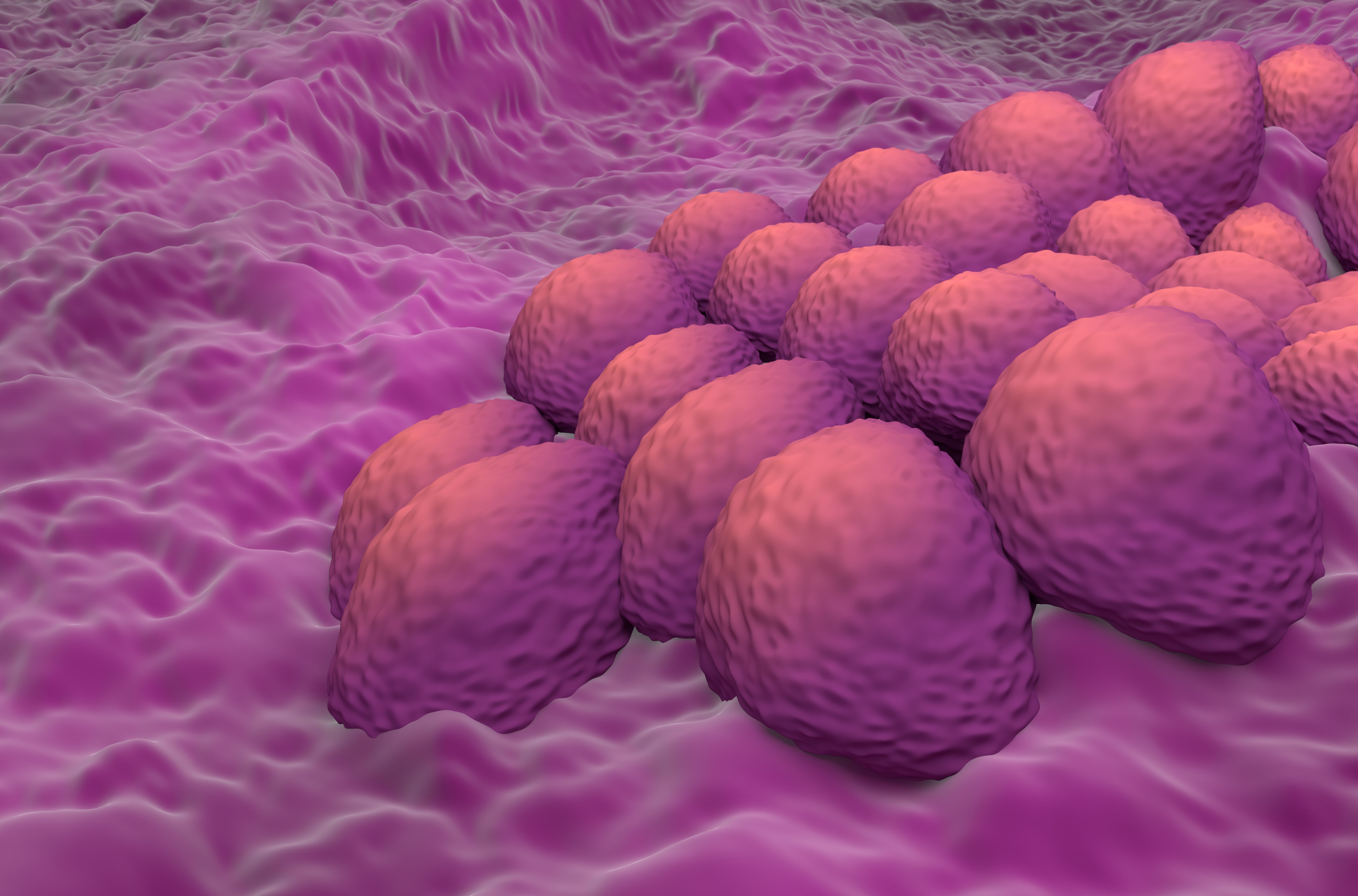 First Patient Dosed in Phase III Trial of Enhertu as First-Line ...