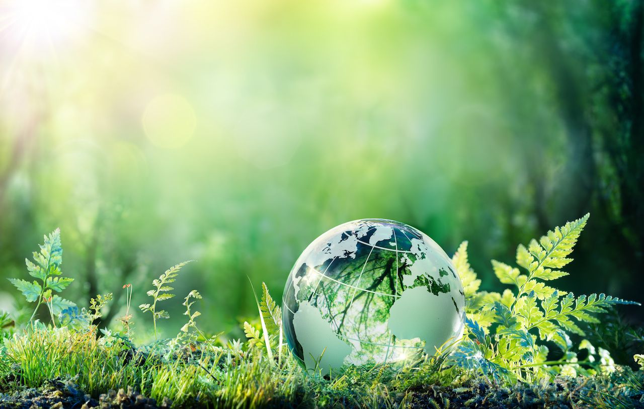 Aligning Patient Burden with Planetary Burden Aligning Patient Burden with Planetary Burden