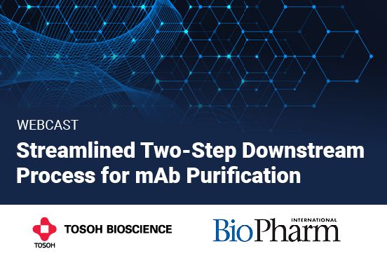 Streamlined Two-Step Downstream Process for mAb Purification
