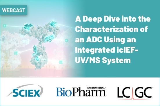 We All Have Baggage: A Deep Dive Into the Characterization of a Complex ...