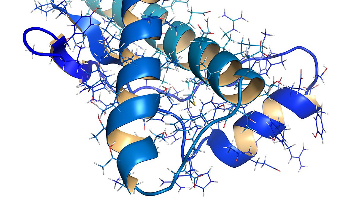 Glycoengineering Shows Promise for Enhancing Antibody Therapeutics ...