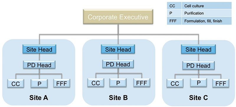 Organizational Structures of Process Development and Manufacturing Support