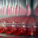 Essentials in Bioassay Development