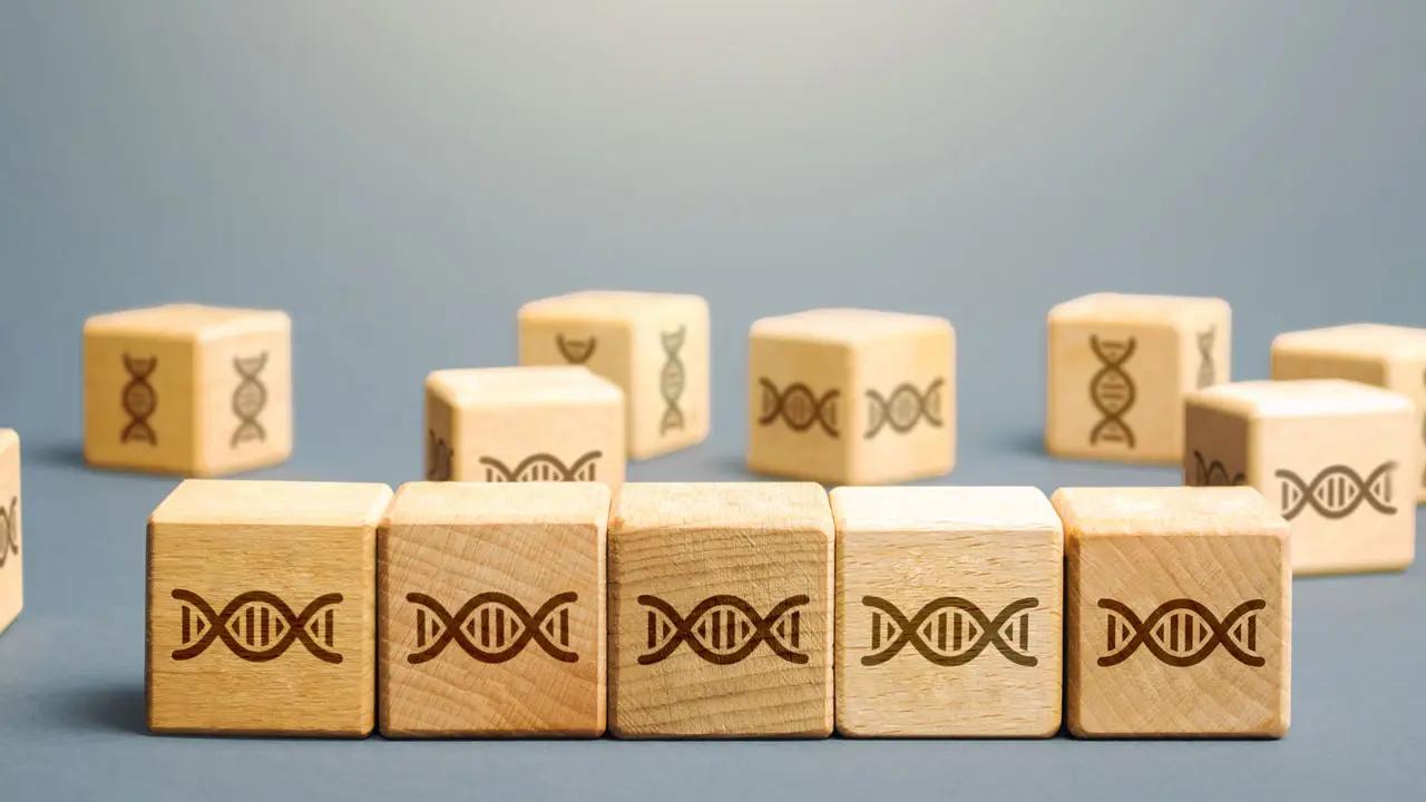 The Road to Personalized Medicine: Reimagining Drug Manufacturing