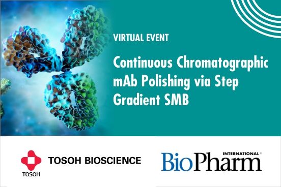 Continuous Chromatographic mAb Polishing via Step Gradient SMB
