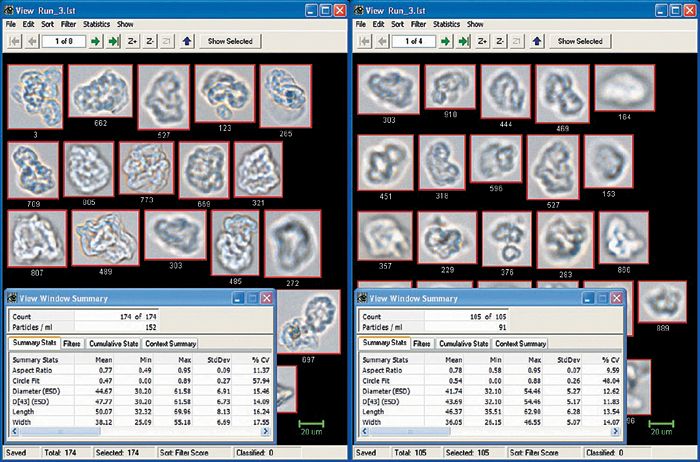 Characterizing Biologics Using Dynamic Imaging Particle Analysis