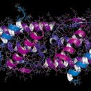 Commercializing High-Concentration mAbs