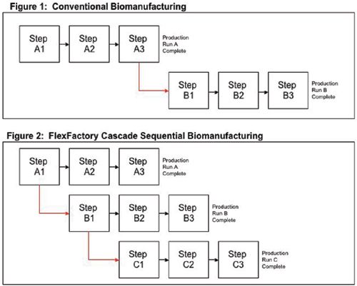 On-Demand GMP CMO Capacity through Sequential Cascade BioManufacturing
