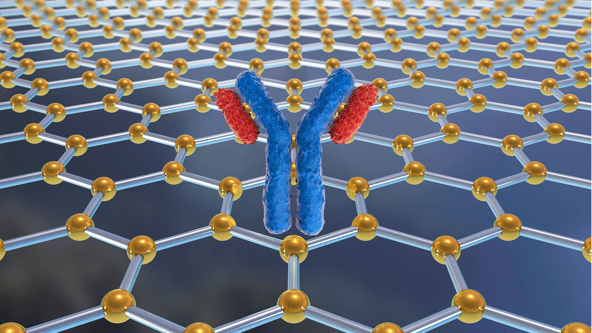 A Closer Look At Affinity Ligands
