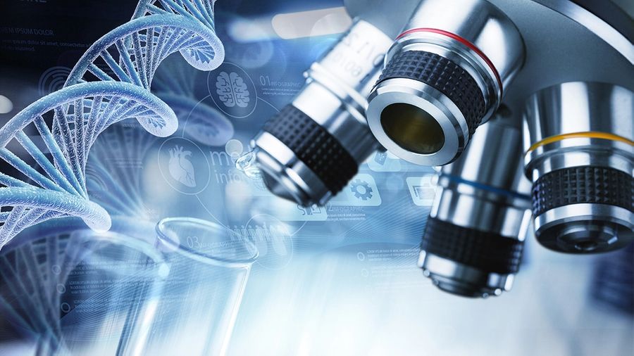 Development | BioPharm International