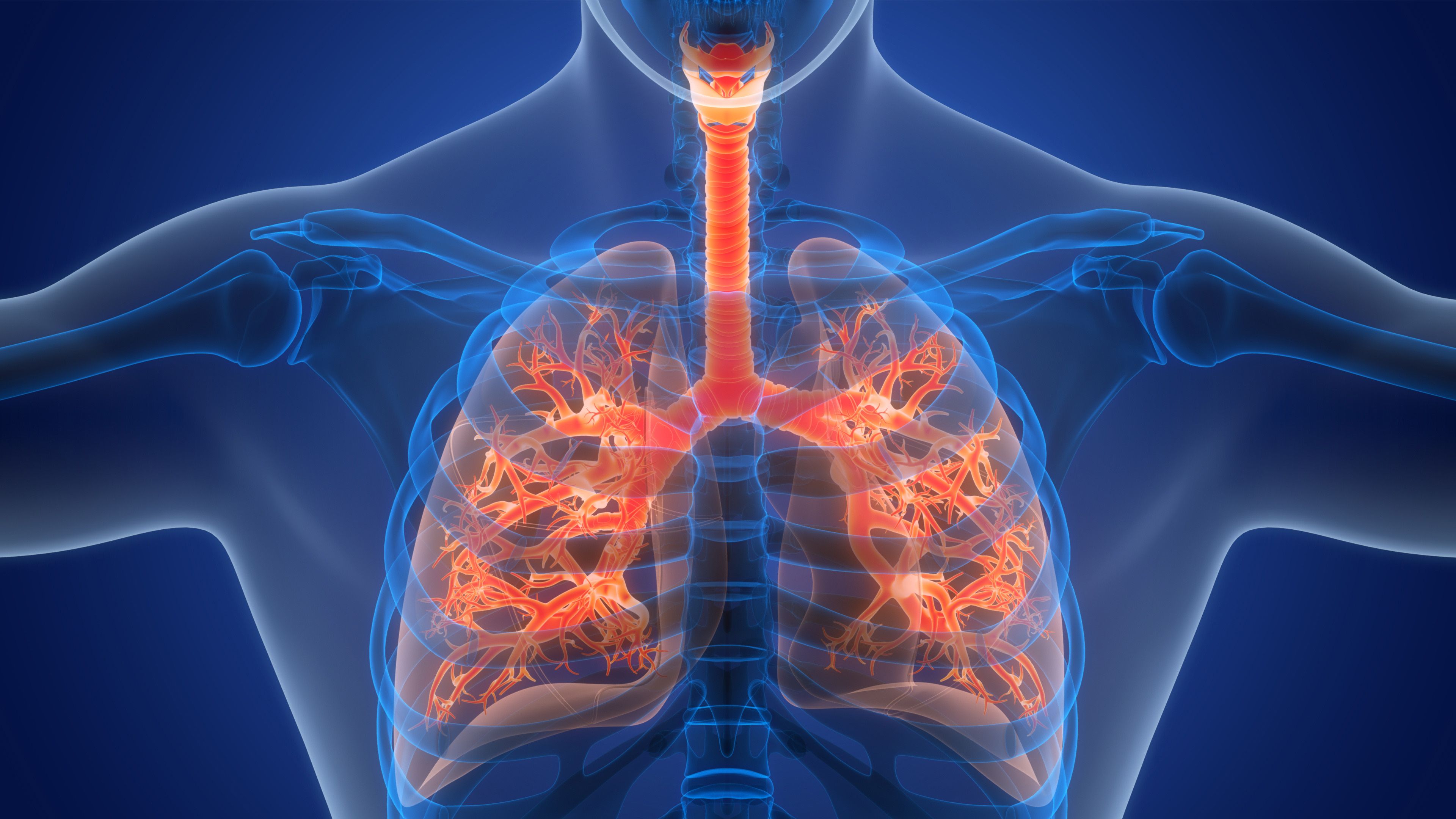 Tozorakimab Phase III Data Establish IL-33 Pathway in COPD | BioPharm ...