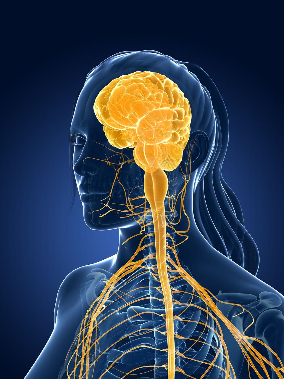 New Data From PREVENT Show Benefits of Eculizumab in NMOSD | Center for ...