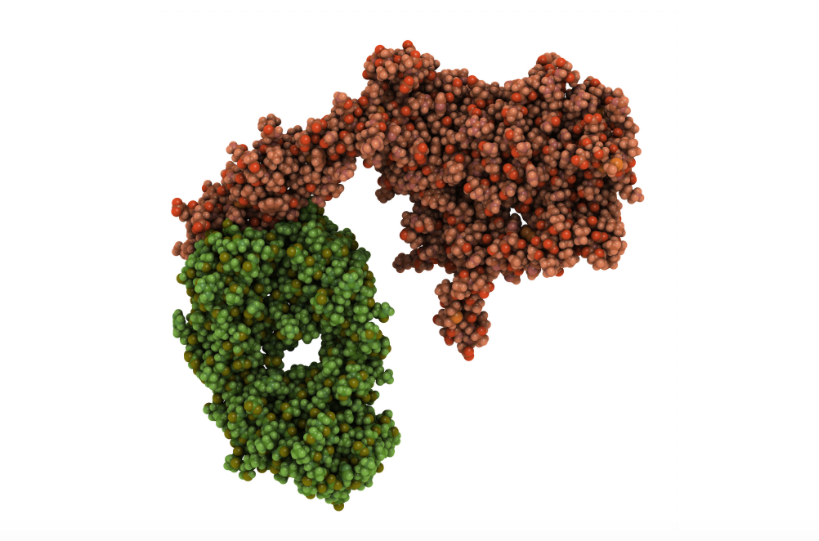 Mylan and Biocon Launch Biosimilar Trastuzumab, Ogivri, in the United ...