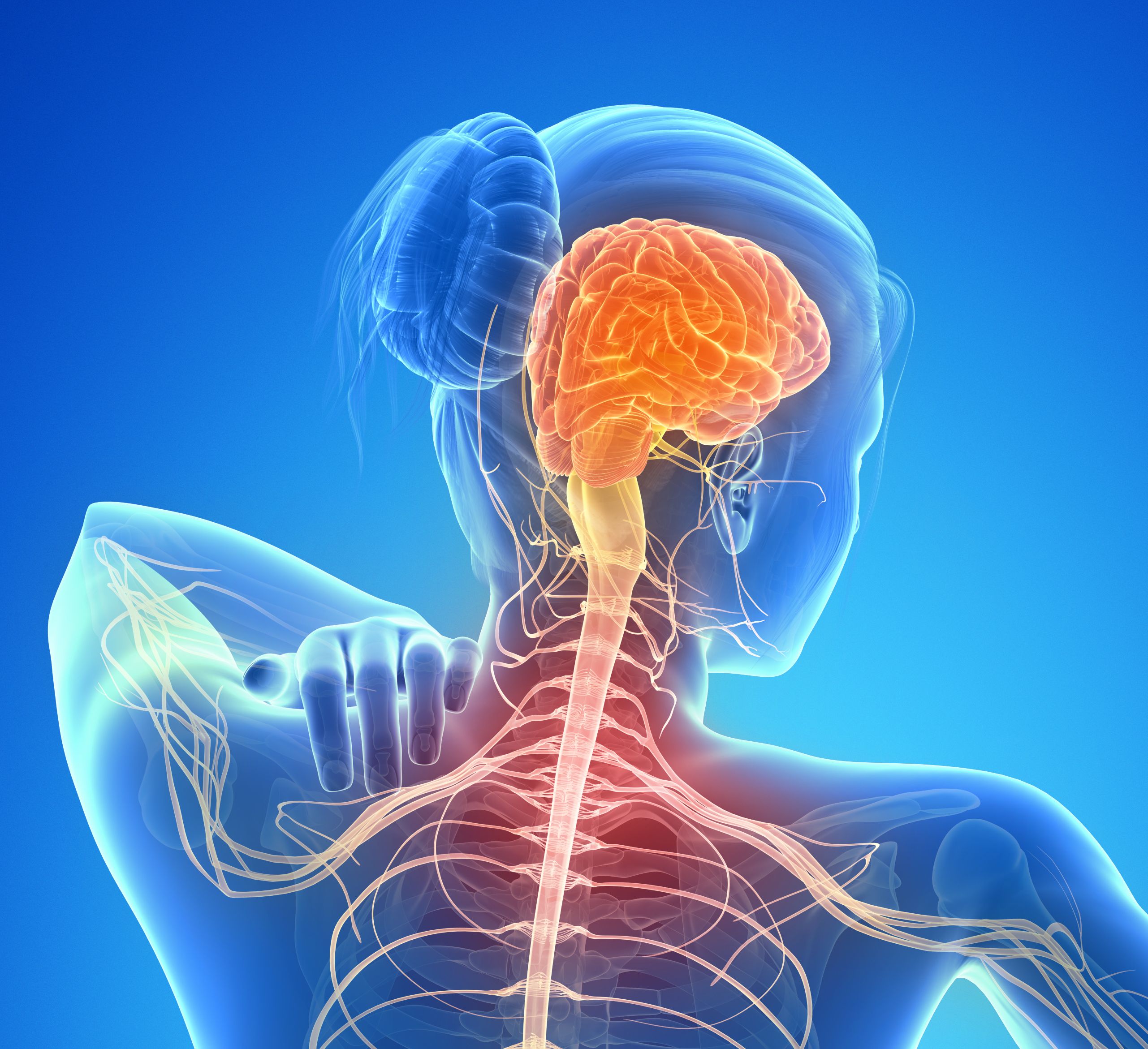 Adjuvant Nivolumab/Cisplatin/RT Improves DFS in Advanced Head and Neck Cancer