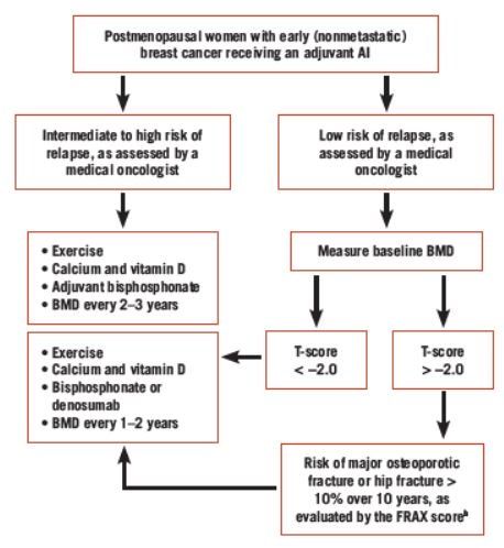 Bone-Targeted Therapy in Early Breast Cancer | CancerNetwork