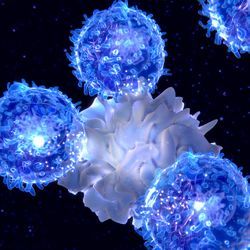 Elranatamab With or Without Lenalidomide Yields Promising Early ...