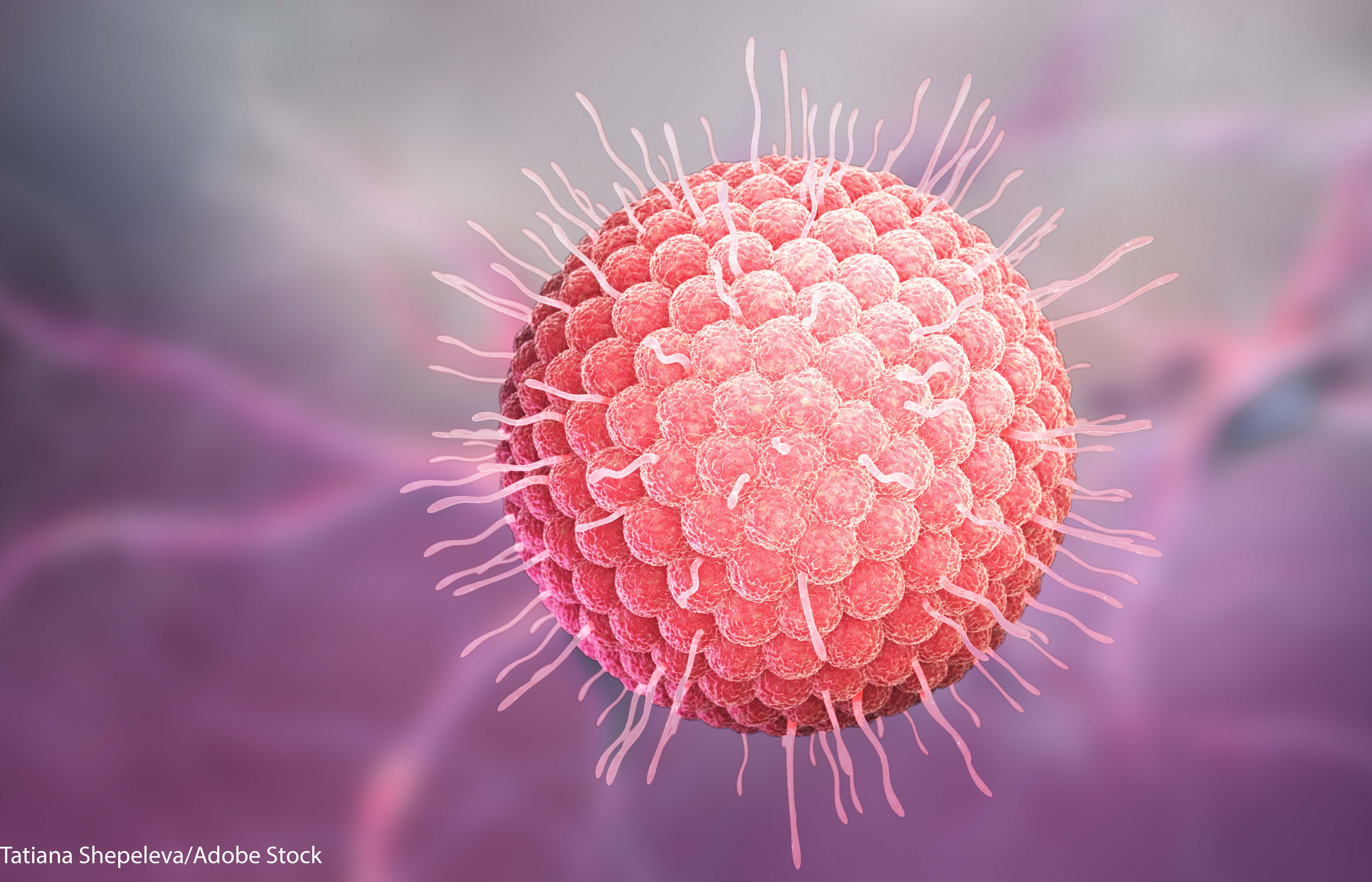 Herpes Zoster Virus Microscope