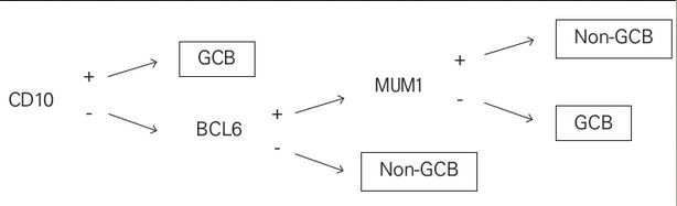 DLBCL Cell of Origin: What Role Should It Play in Care Today?