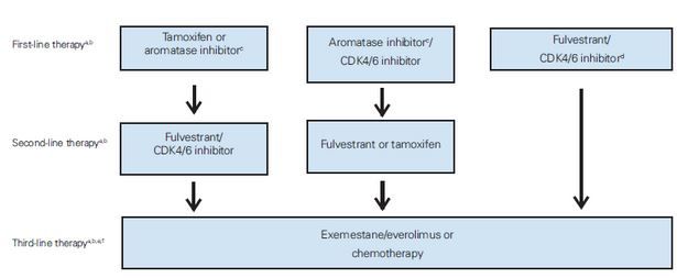 CDK4/6 Inhibitors: Game Changers in the Management of Hormone Receptor–Positive Advanced Breast ...