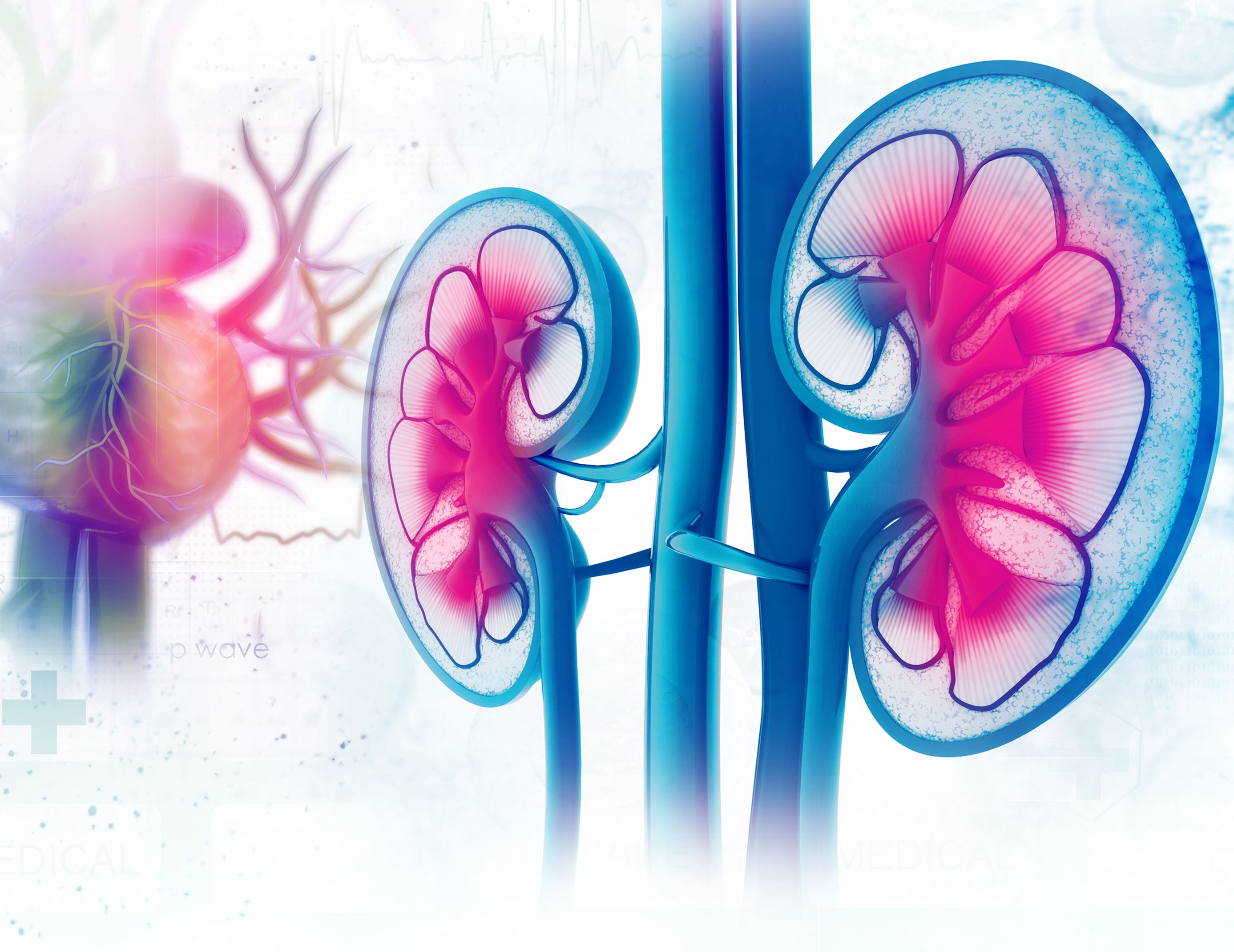 Bringing Patient-Focused Palliative Care to Kidney Cancer