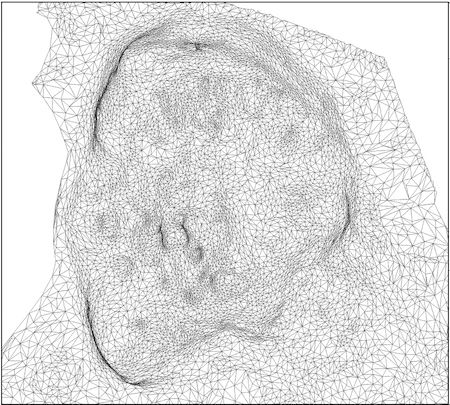 Assessing Wound Depth with Smartphone Sensors | Chief Healthcare Executive