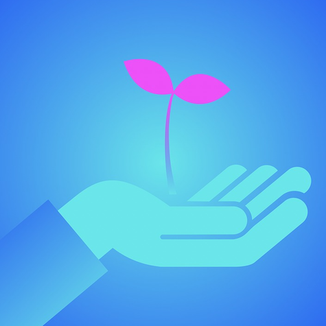 How the First FDA-Approved Contraception App Performs Across Populations