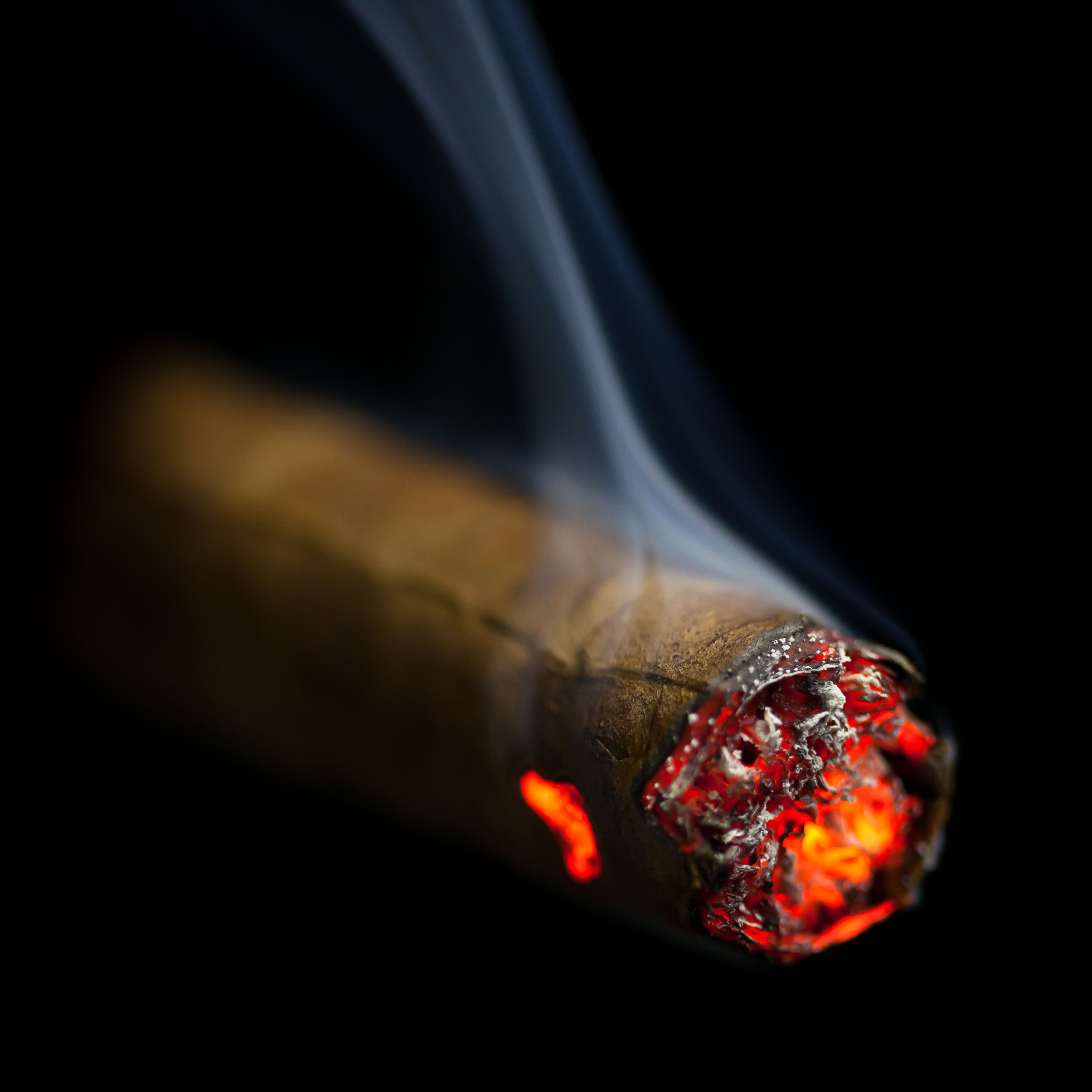 Tracing Cigar Aroma Evolution from Leaf to Smoke Using GC-O-MS | LCGC ...