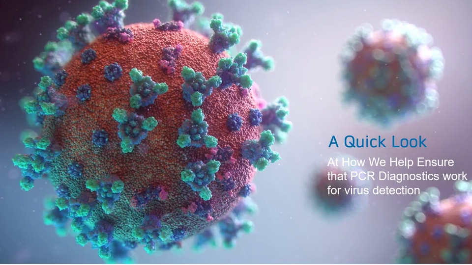 A Quick Look at How We Help Ensure that PCR Diagnostic Work for Virus ...