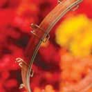 GCxGC: From Research to Routine