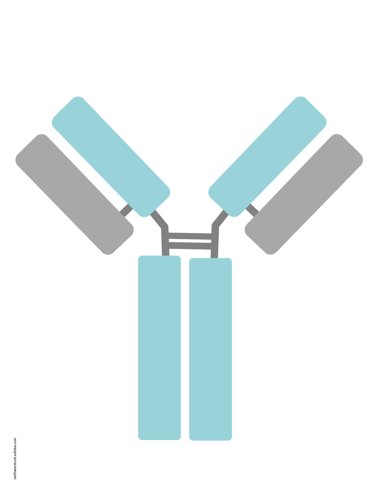 Size-Exclusion Chromatography–Mass Spectrometry Analysis of mAbs on a ...