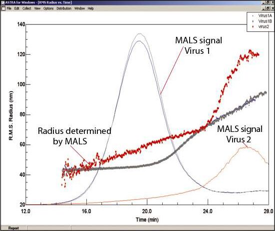 Virus Particle Characterization