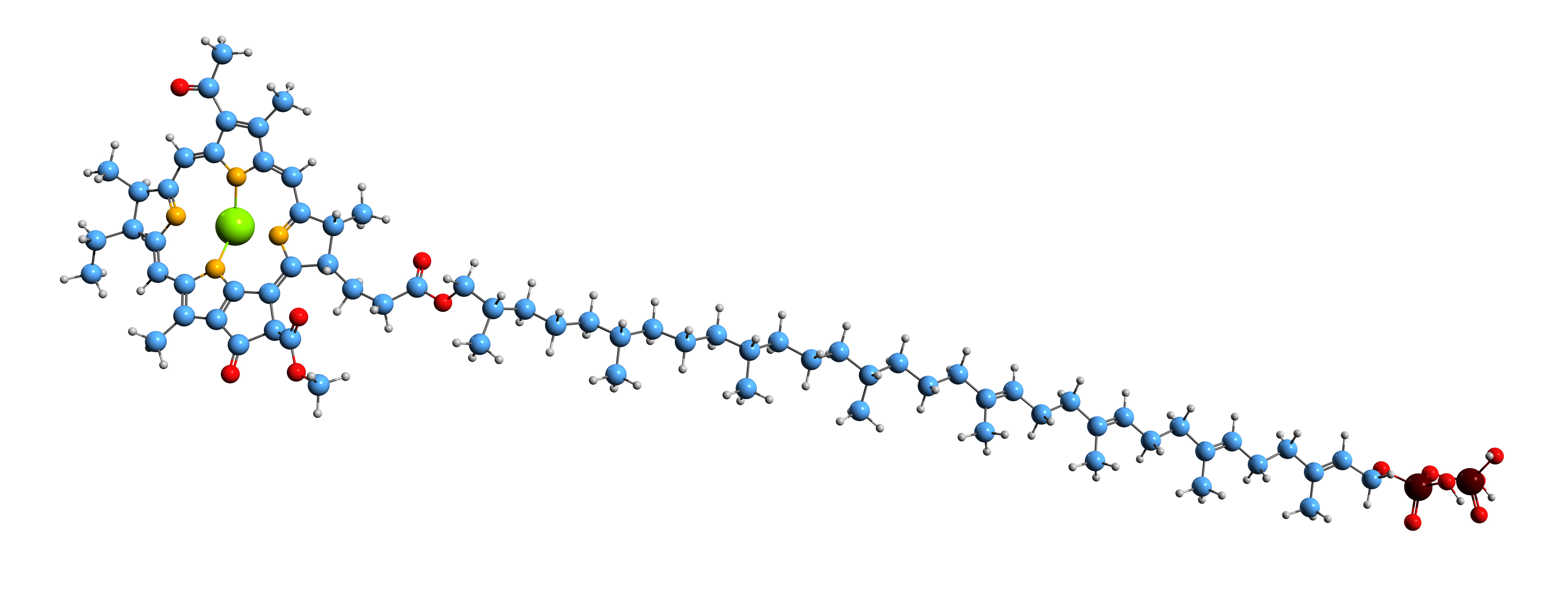 Separation Science: The State of the Art: New Frontiers in Lipidomics