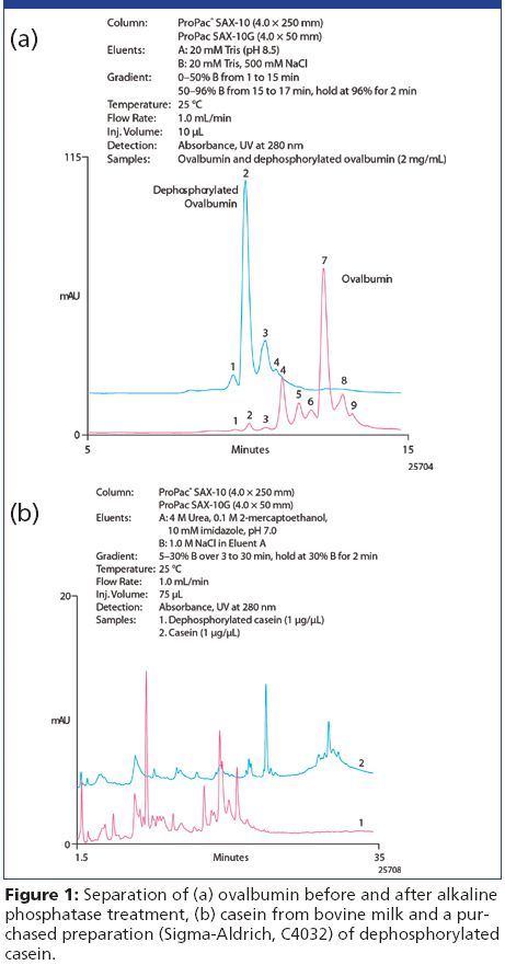 High-Performance Ion-Exchange Chromatography for Analysis of Protein ...