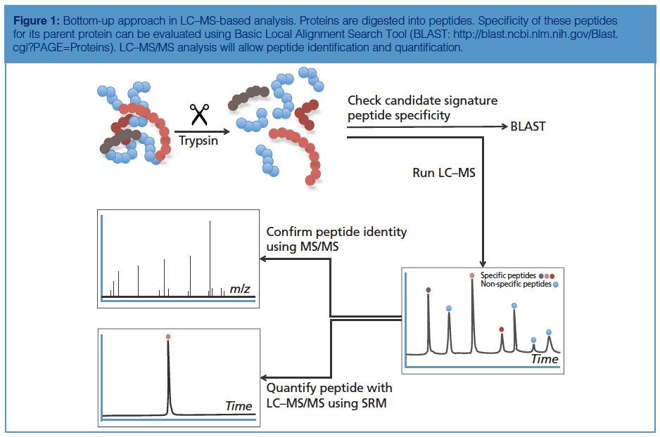 Determination of Very Low-Abundance Diagnostic Proteins in Serum Using ...