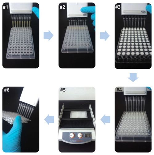 High-Throughput Liquid–Liquid Extraction in 96-Well Format: Parallel ...