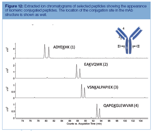 Peptide Map of Monoclonal Antibodies and Antibody–Drug Conjugates Using ...