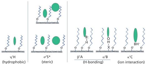Column Selection for Reversed-Phase HPLC