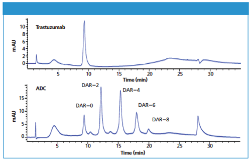 DAR Analysis of Antibody–Drug Conjugates | LCGC International