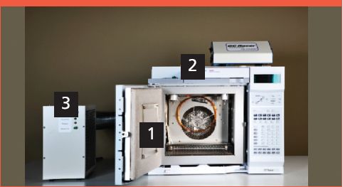 Case Studies: Improved Productivity with Fast GC Accessories