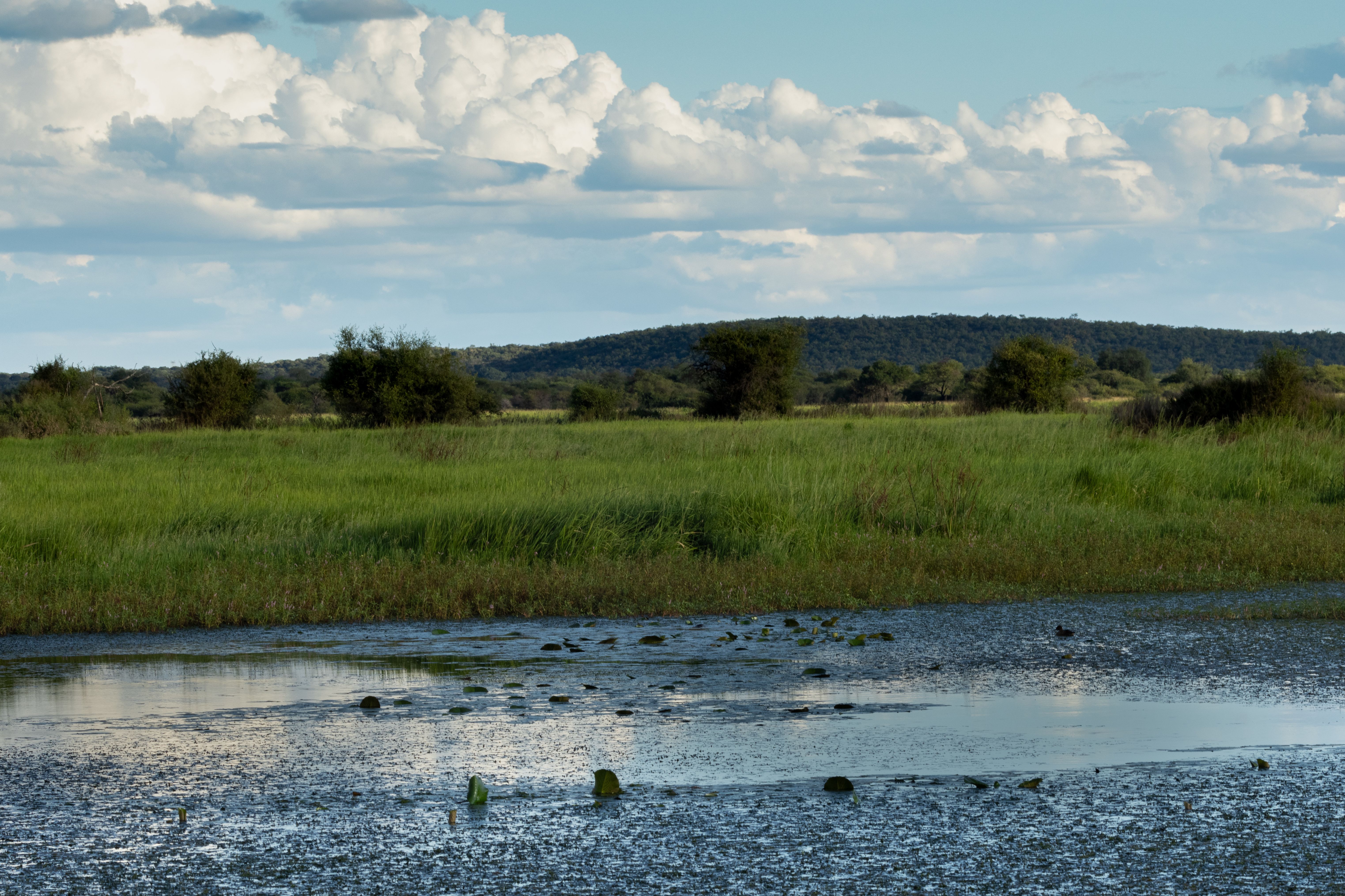LC-MS and Molecular Networking Unmask Wetland Contaminants | LCGC ...