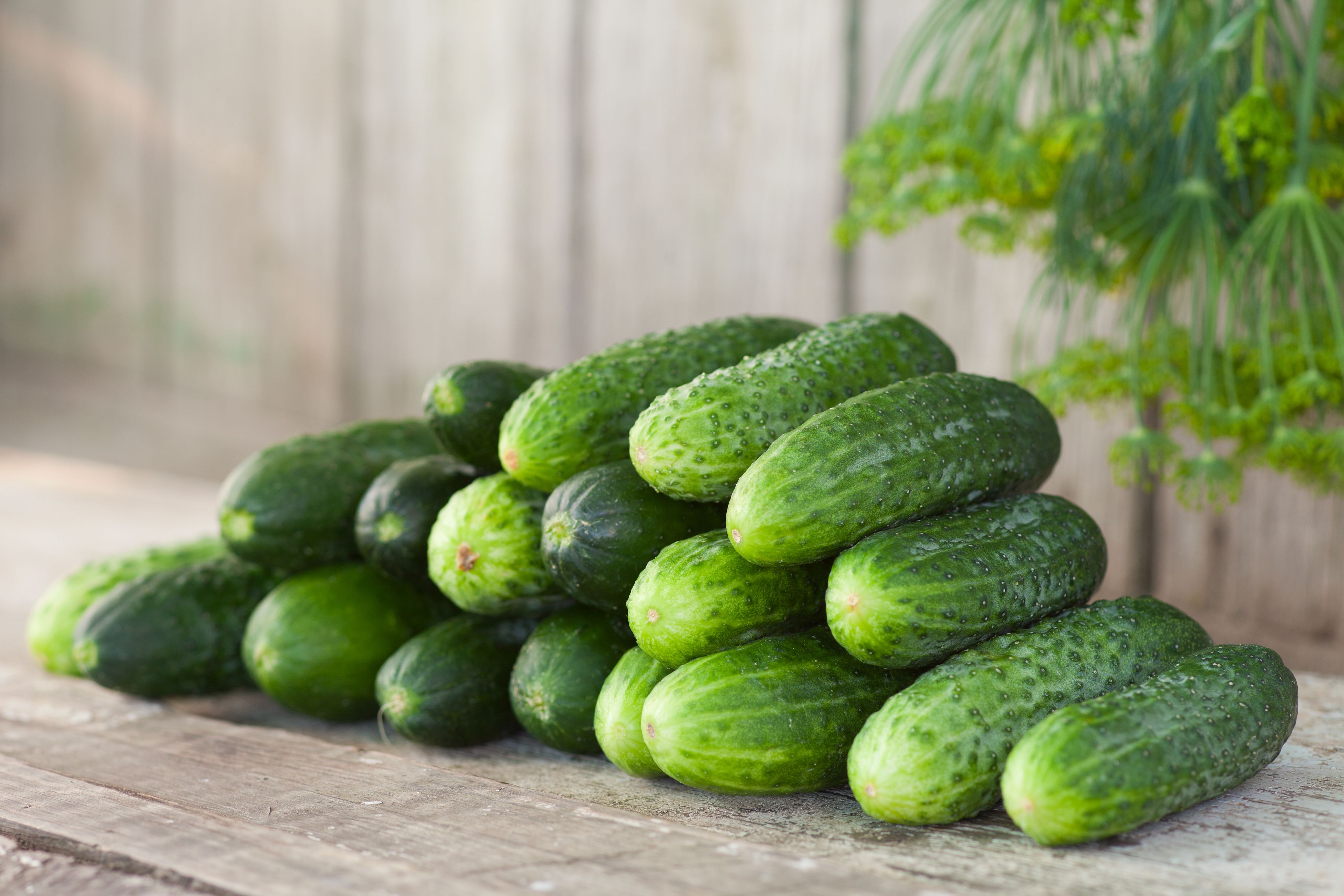 GC and LC-IDMS/MS for Pesticide Residues in Cucumbers | LCGC International