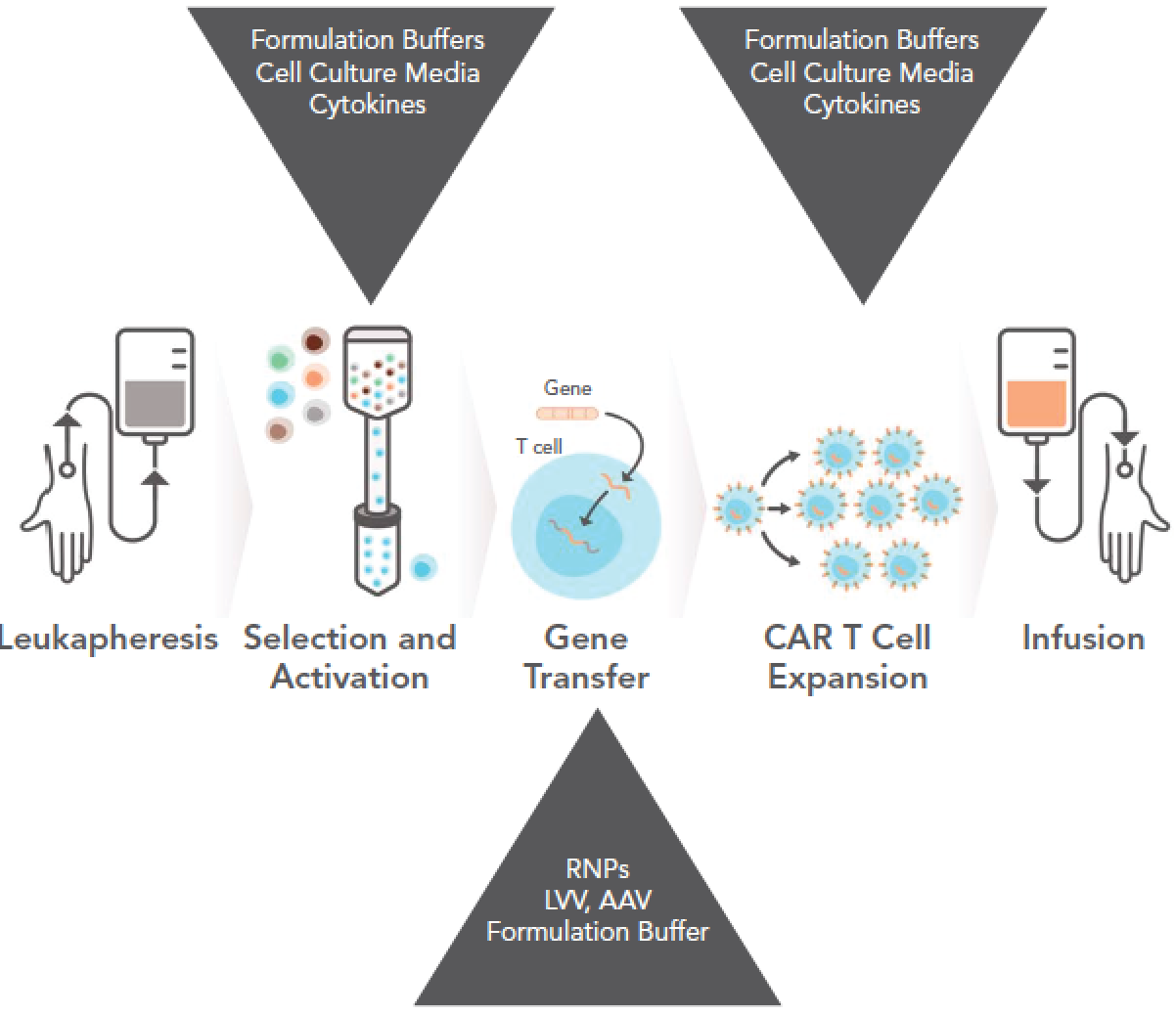 Physicochemical Methods for Vectors and Ancillary Materials in Cellular ...