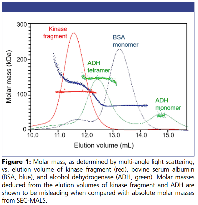 Kinase Fragments Dimerize Without Oligomerization Domains, Shown by SEC ...