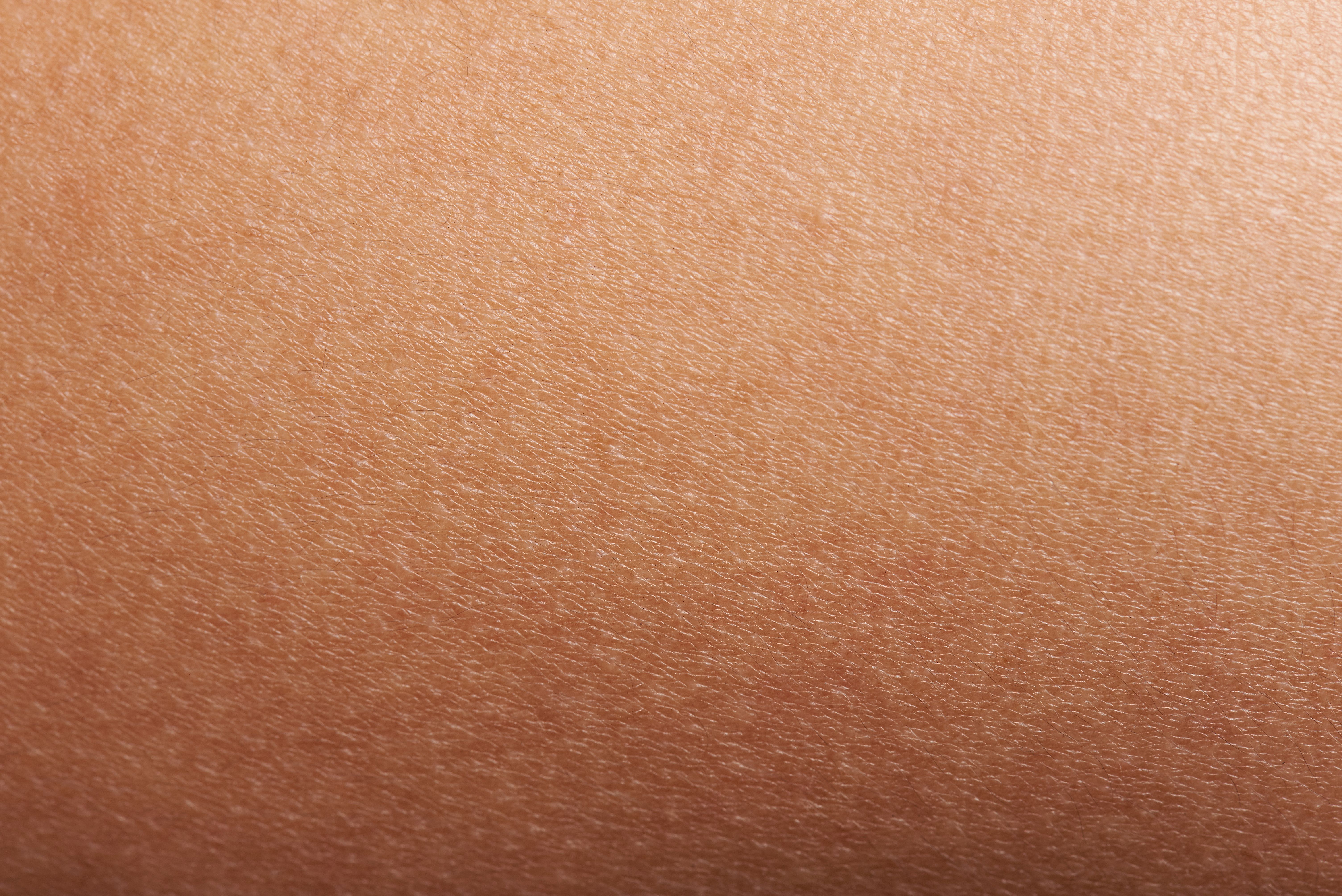 Skin Permeability Modeling of Pharmaceutical and Cosmetic Compounds ...