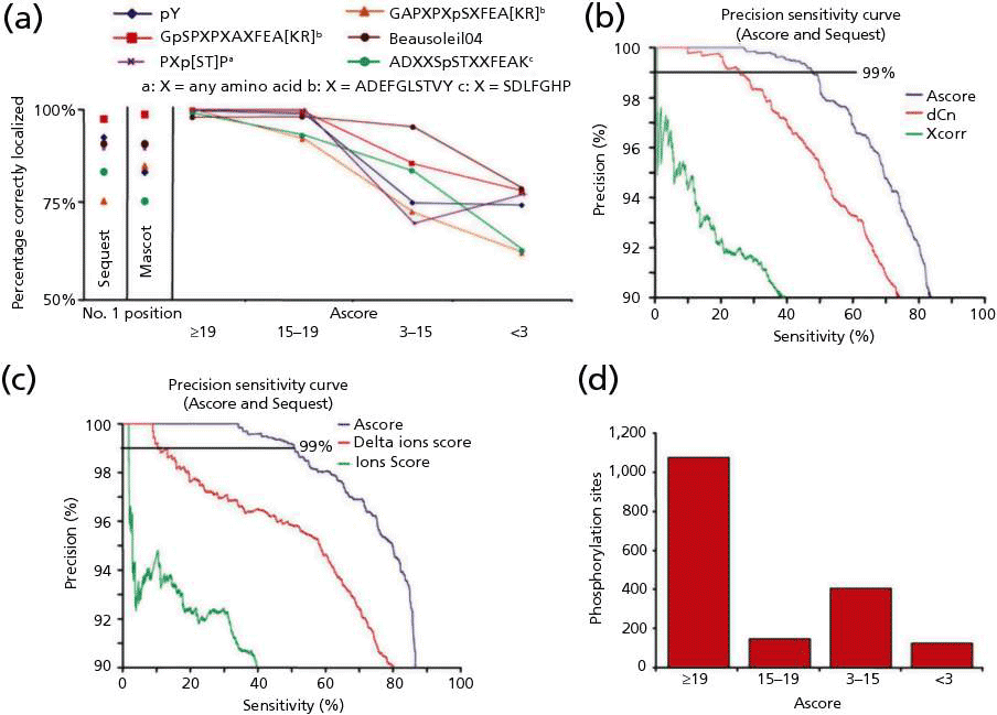 Phosphorylation Site Localization Using Probability-Based Scoring